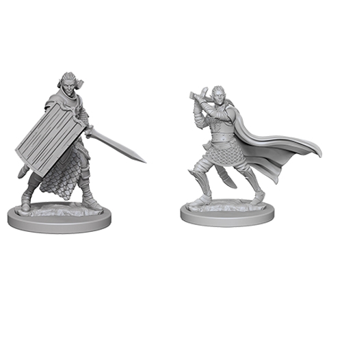 Pathfinder Battles Unpainted Deep Cuts Miniatures Elf Male Paladin